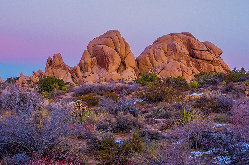 Sunset at Joshua Tree National Park | Stephen Hung Photography