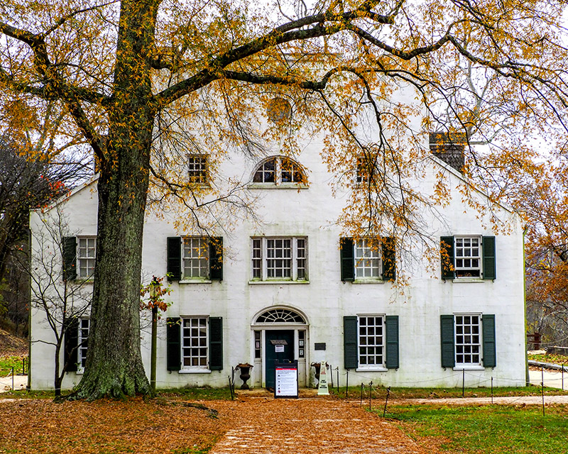 The Diminishing Fall Colors | Stephen Hung Photography