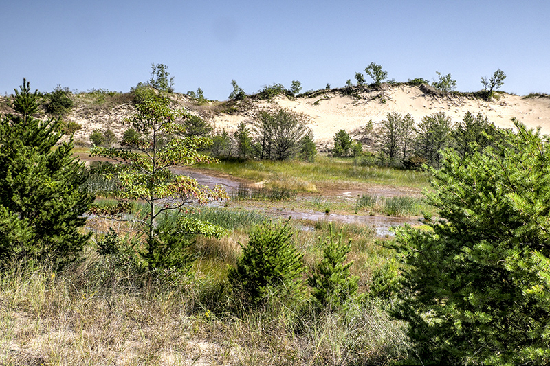 Indiana National Sand Dunes Park | Stephen Hung Photography