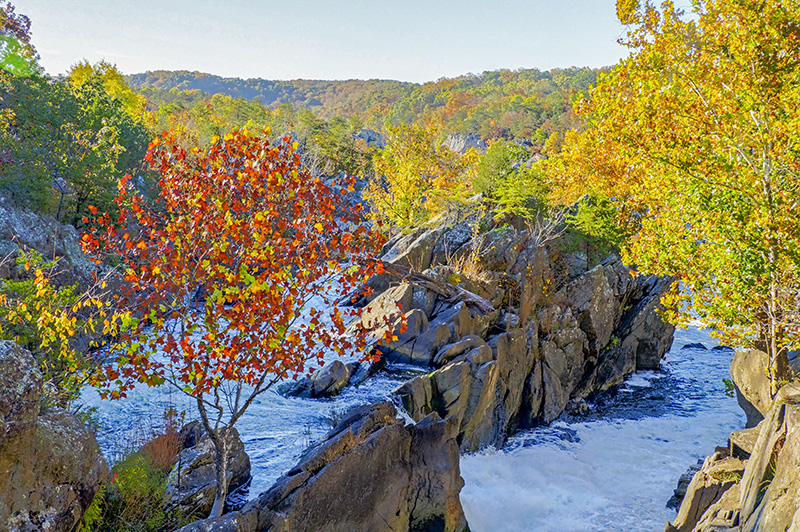 Autumn Colors at the Great Falls of Potomac River and C&O Canal ...